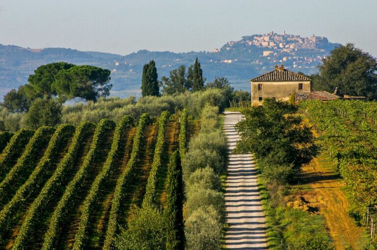 Tuscany Wine Regions Explained: Chianti vs Montalcino vs Montepulciano